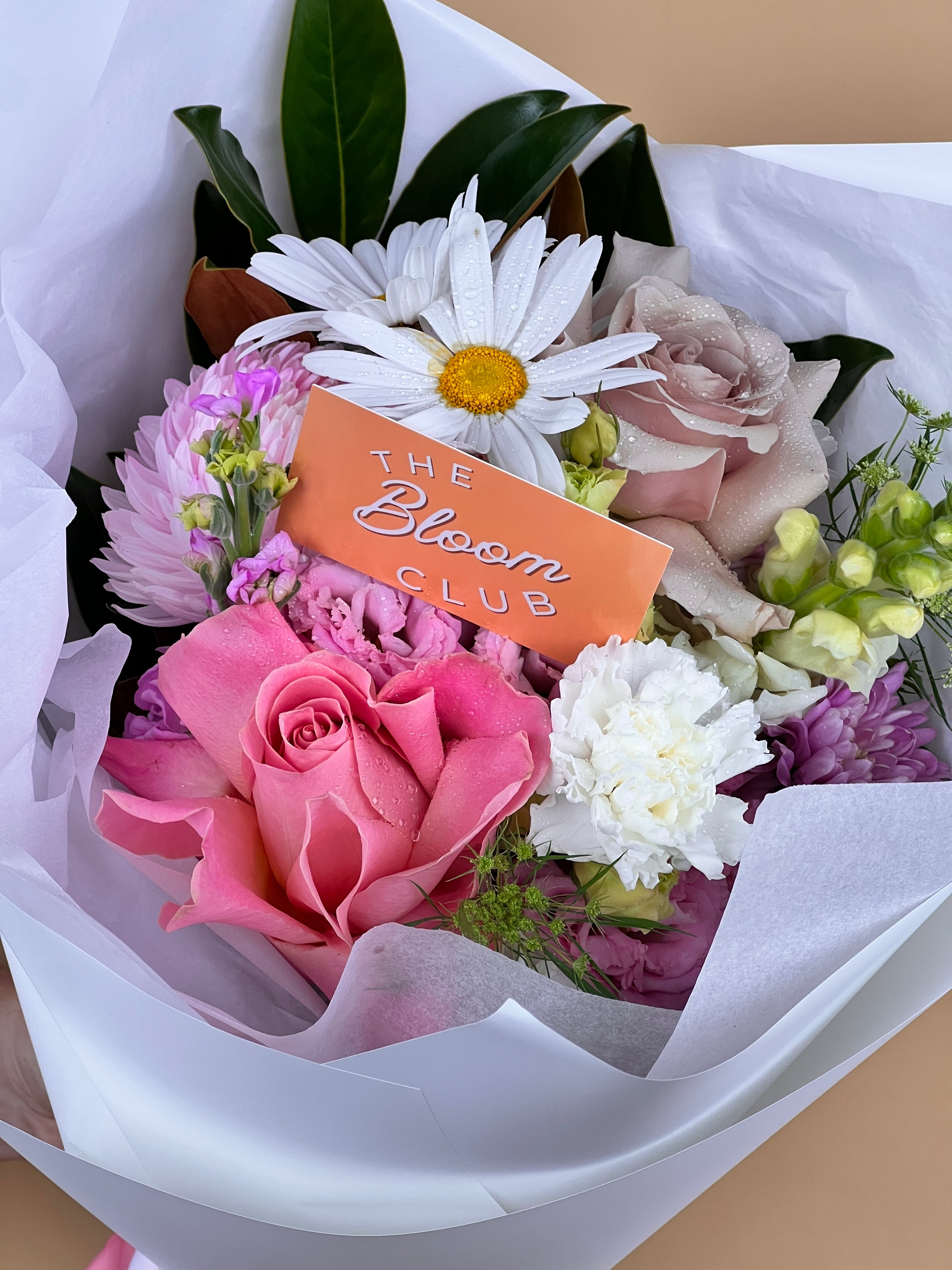 The Blooms – The Bloom Club